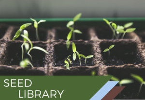 T.B. Scott Free Library | Merrill, WI